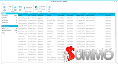 RS Lead Extractor Pro
